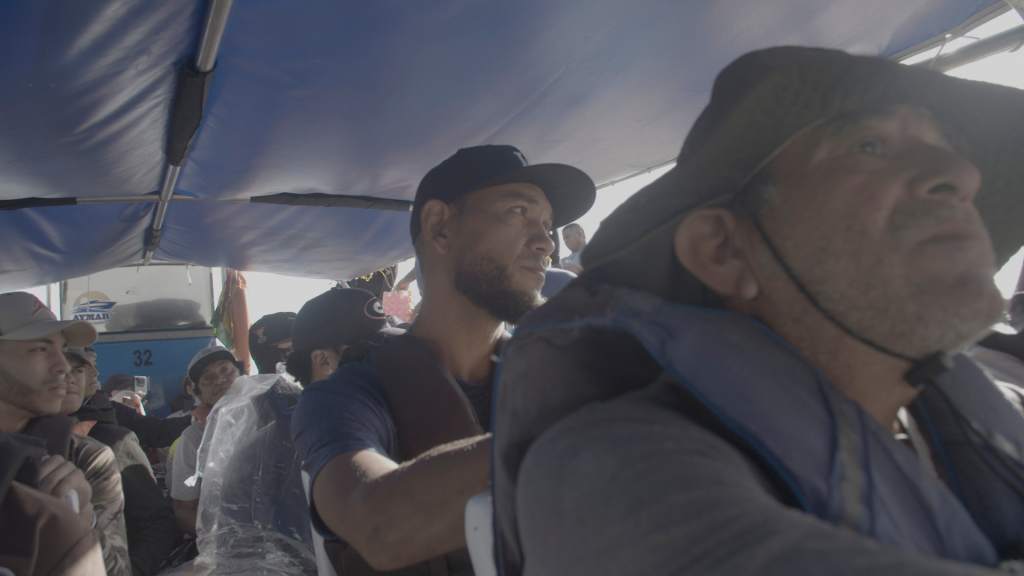 The Great Reverse Migration - Type Investigations